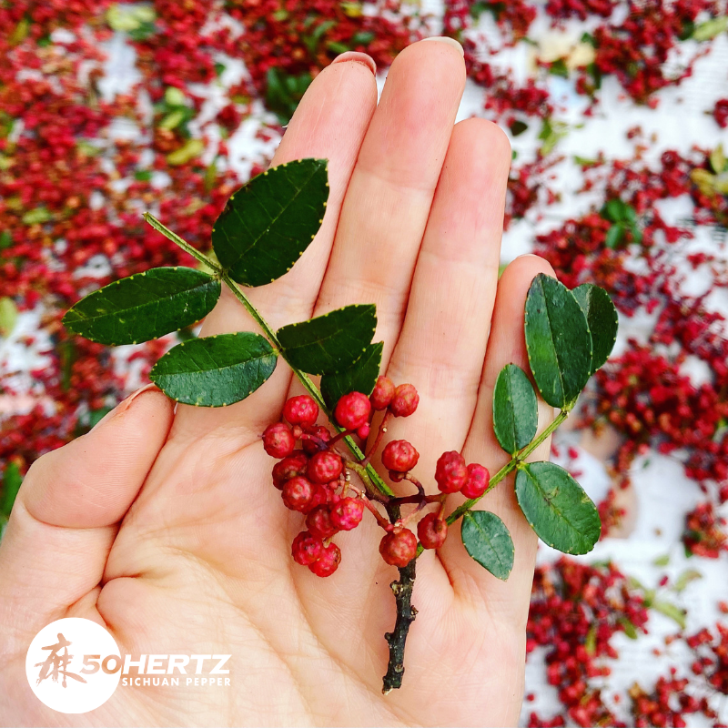 7 Surprising Potential Health Benefits of Sichuan Pepper, Backed by Re ...