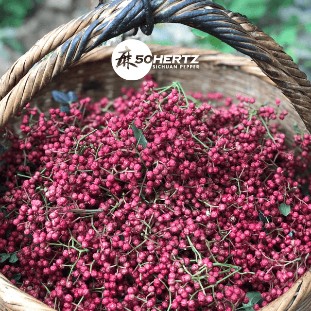 Red Sichuan Pepper Oil (10ml | 120ml | 1.8L) – 50Hertz Tingly Foods